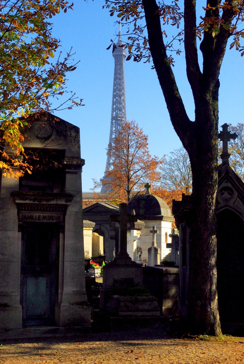 Discover the Passy Cemetery in Paris - French Moments