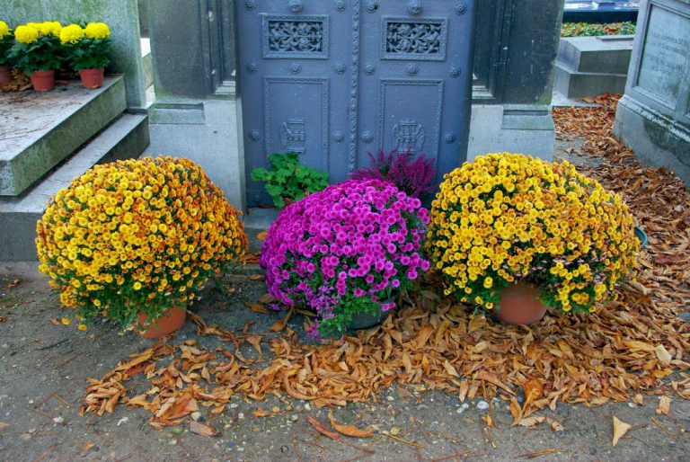 What is la Toussaint, All Saints' Day in France - French Moments