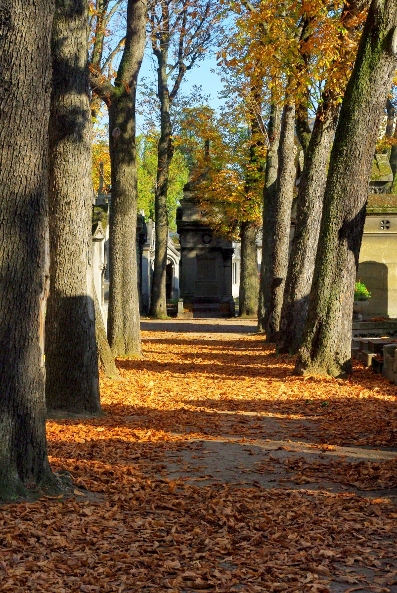 Discover the Passy Cemetery in Paris - French Moments