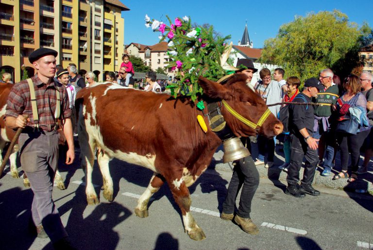 The French Alps: A Mini Discovery Guide - French Moments
