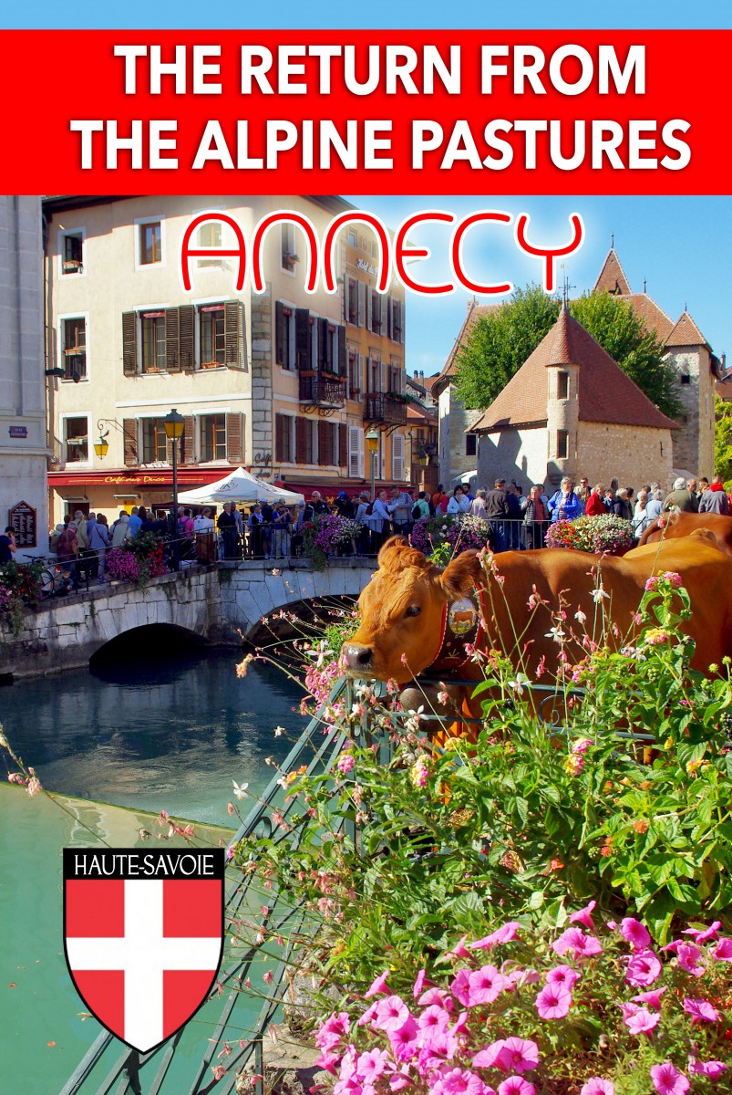 The return from the Alpine pastures in Annecy - French Moments