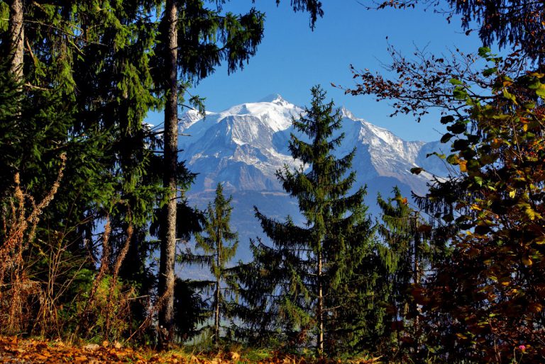 The French Alps: A Mini Discovery Guide - French Moments