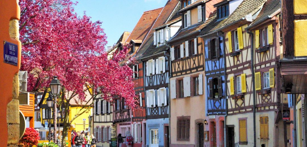 50 Beautiful Photos Of Spring in Alsace To Cheer You Up! - French Moments
