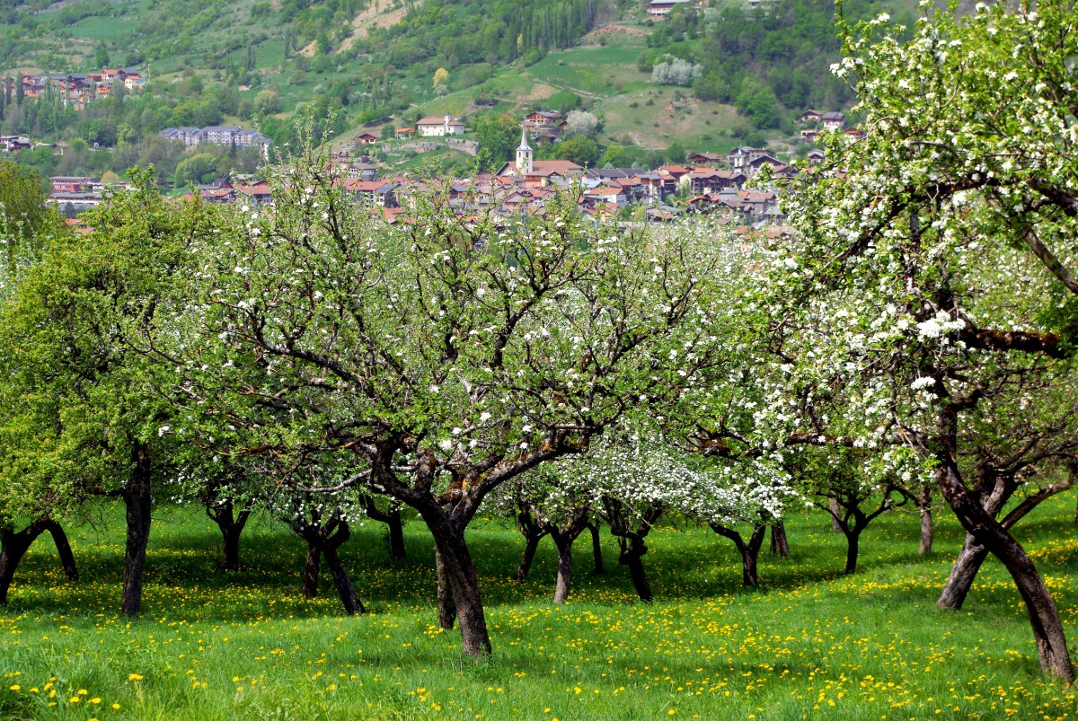 Things to see in Aime-la-Plagne, Savoie - French Moments