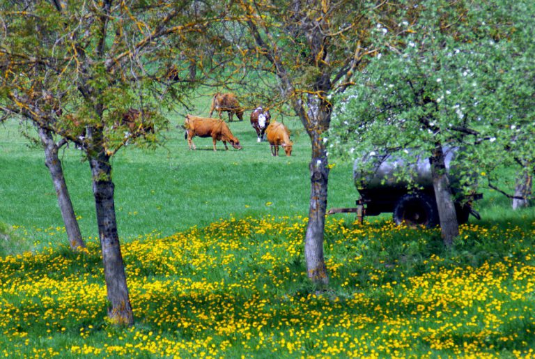 All there is to know about Spring in France - French Moments