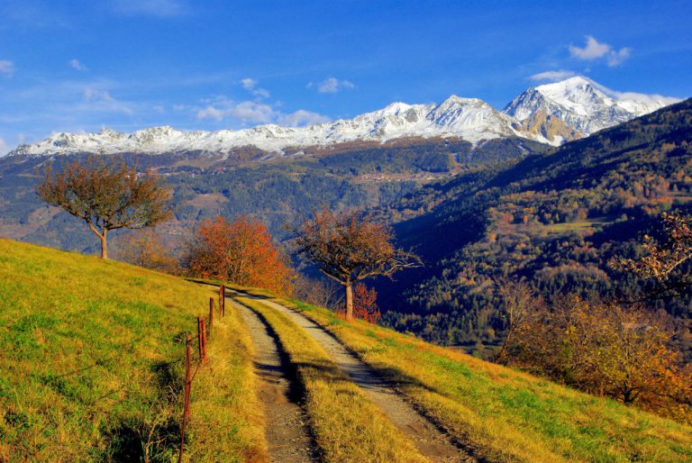 All there is to know about Autumn in France - French Moments