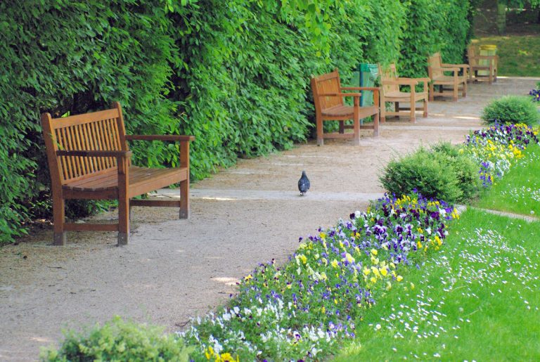 What is the story behind the public benches of Paris? - French Moments