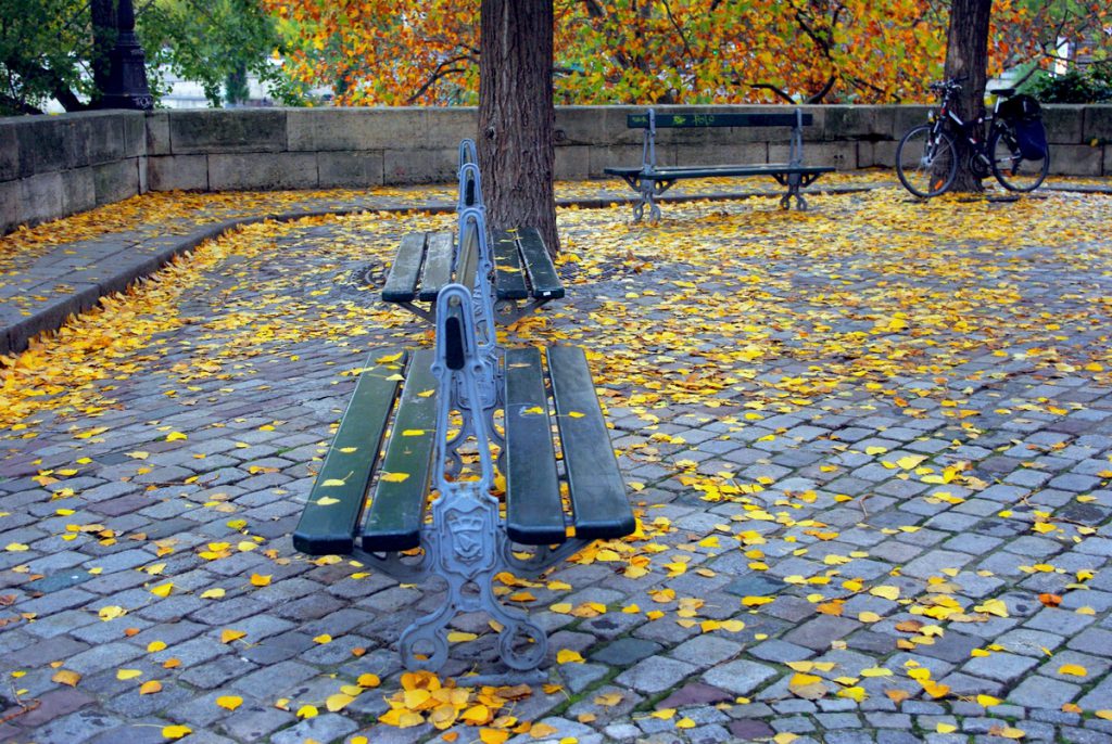 What is the story behind the public benches of Paris? - French Moments
