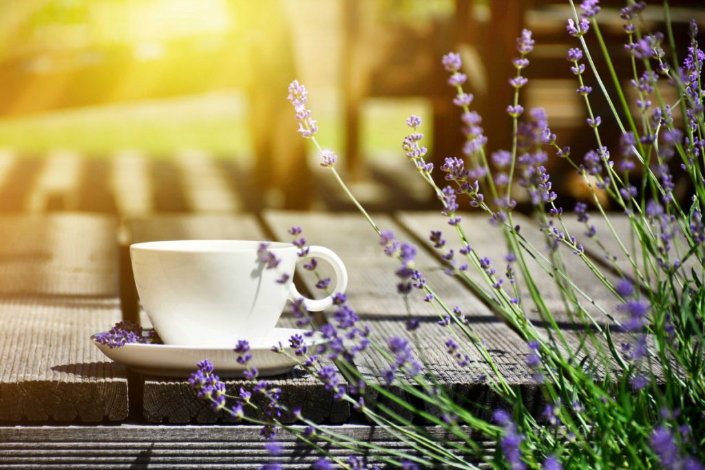 The French Countryside: A Discovery Guide - French Moments