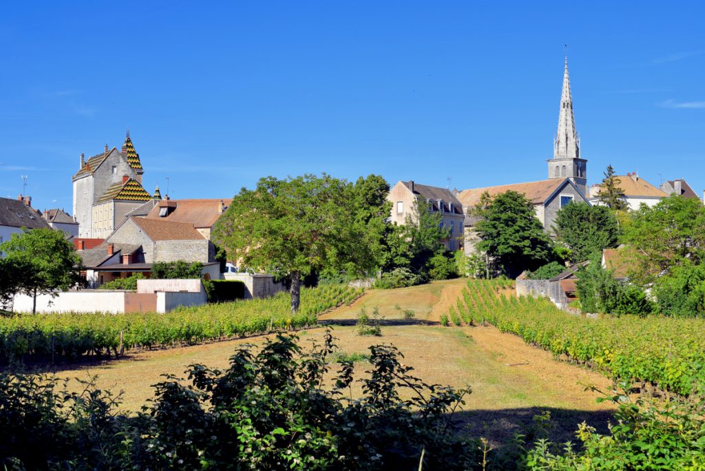 Meursault in Burgundy: sightseeing and places to see - French Moments