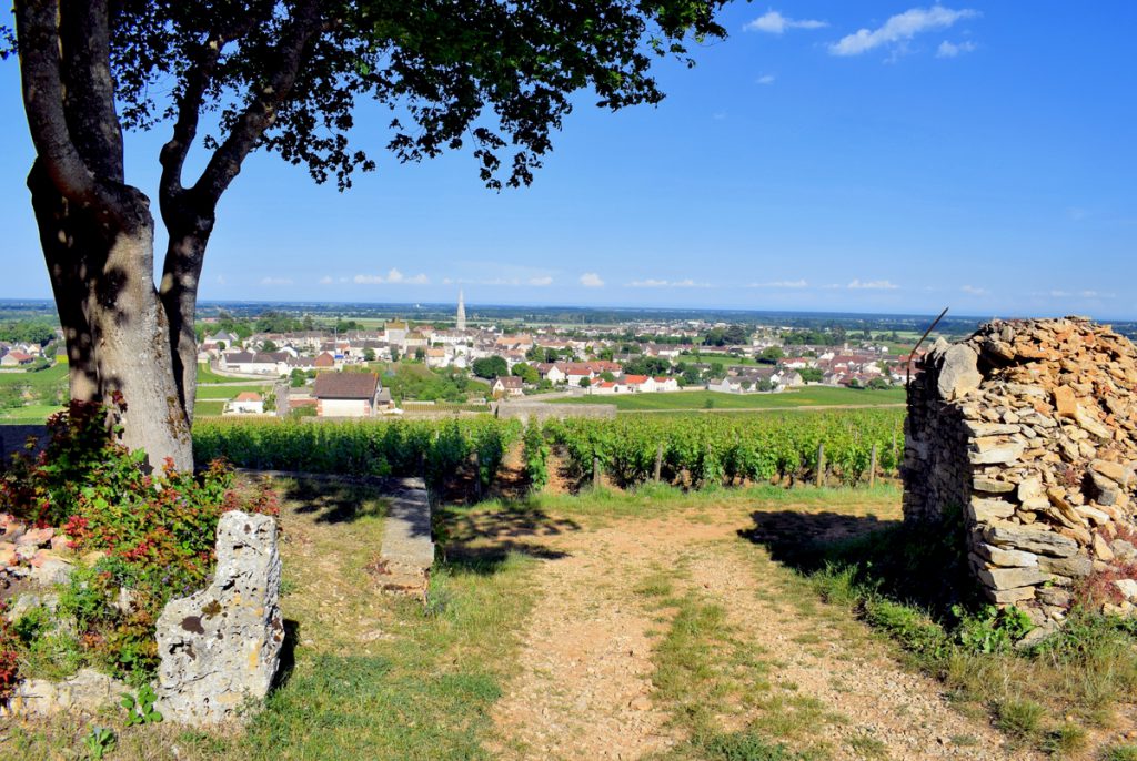 May in France: Blossoms, Strikes, and Sacred Days - French Moments