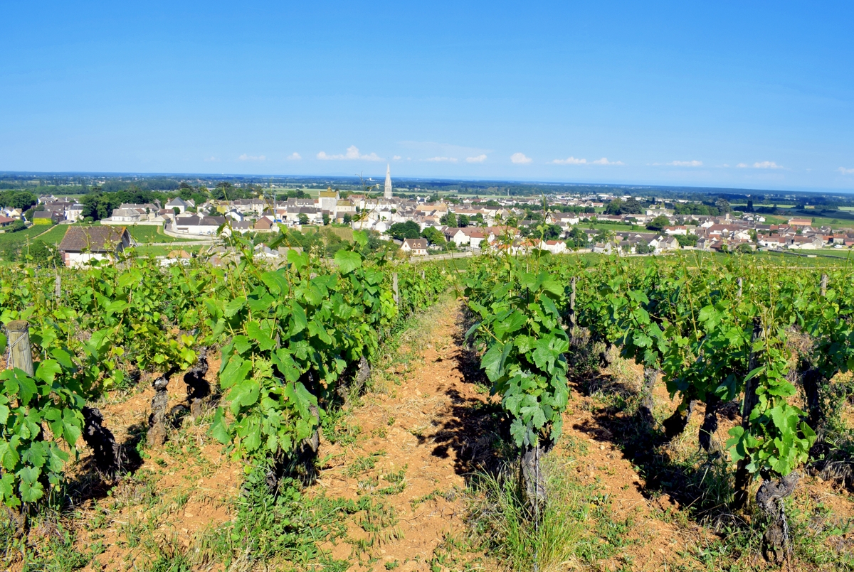 Discovering the Charms of France and Unleashing Your Inner Francophile ...