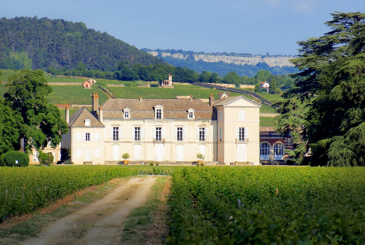 Meursault in Burgundy: sightseeing and places to see - French Moments