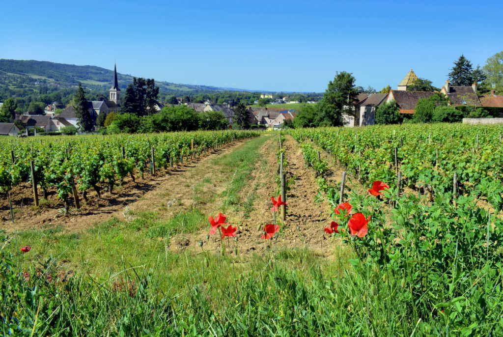 50 Beautiful Photos Of Rural France To Cheer You Up! - French Moments