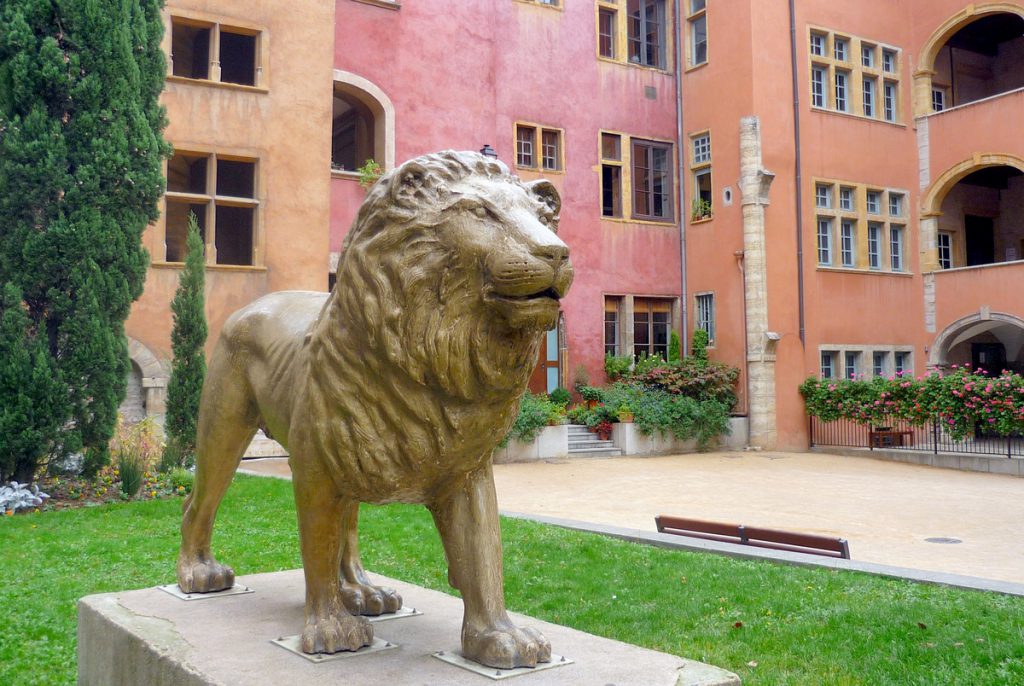 Lyon History - French Moments