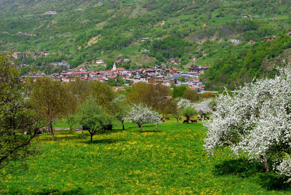 50 Beautiful Photos Of Rural France To Cheer You Up! - French Moments