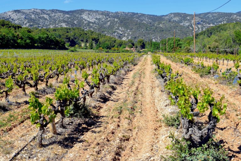 Why you should discover Bédoin in Provence - French Moments