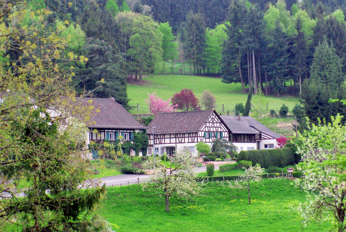 The Best of Rural Alsace - 5 Areas To Discover - French Moments
