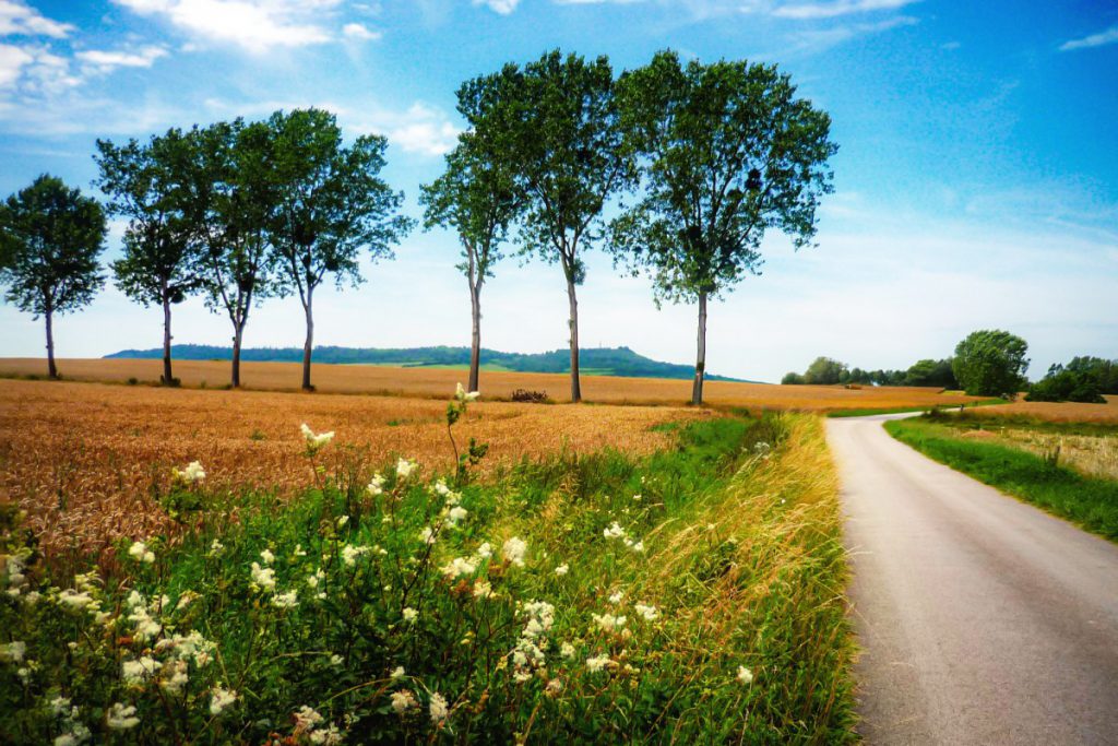 Why the French Countryside Should Be on Your Travel List - French Moments