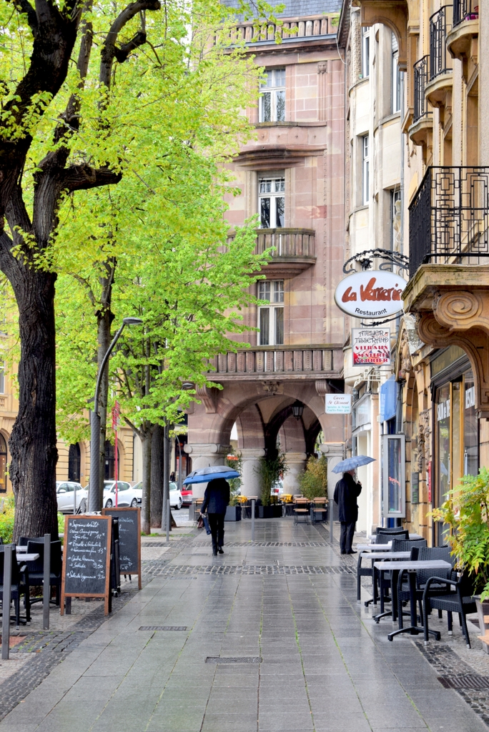50 Beautiful Photos Of Spring in Lorraine To Cheer You Up! - French Moments