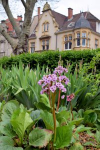 50 Beautiful Photos Of Spring in Lorraine To Cheer You Up! - French Moments