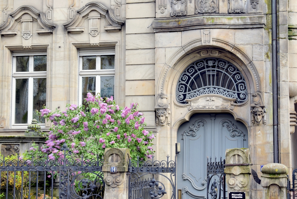 50 Beautiful Photos Of Spring in Lorraine To Cheer You Up! - French Moments