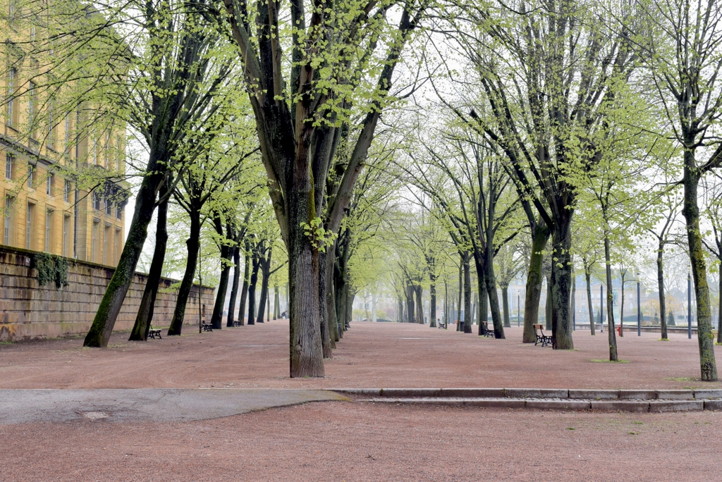 50 Beautiful Photos Of Spring in Lorraine To Cheer You Up! - French Moments