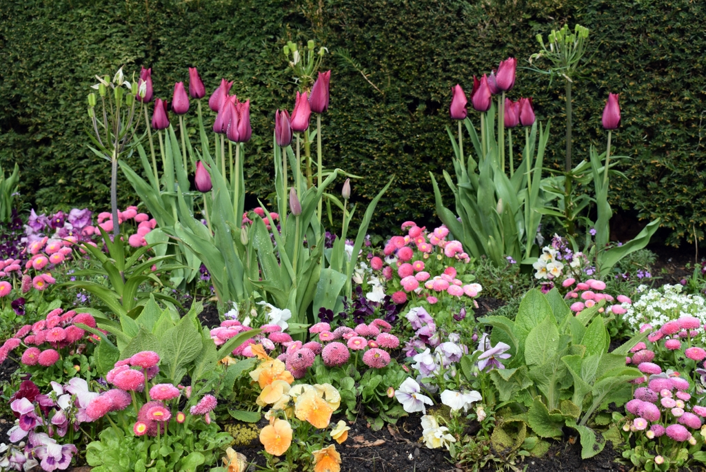 50 Beautiful Photos Of Spring in Lorraine To Cheer You Up! - French Moments