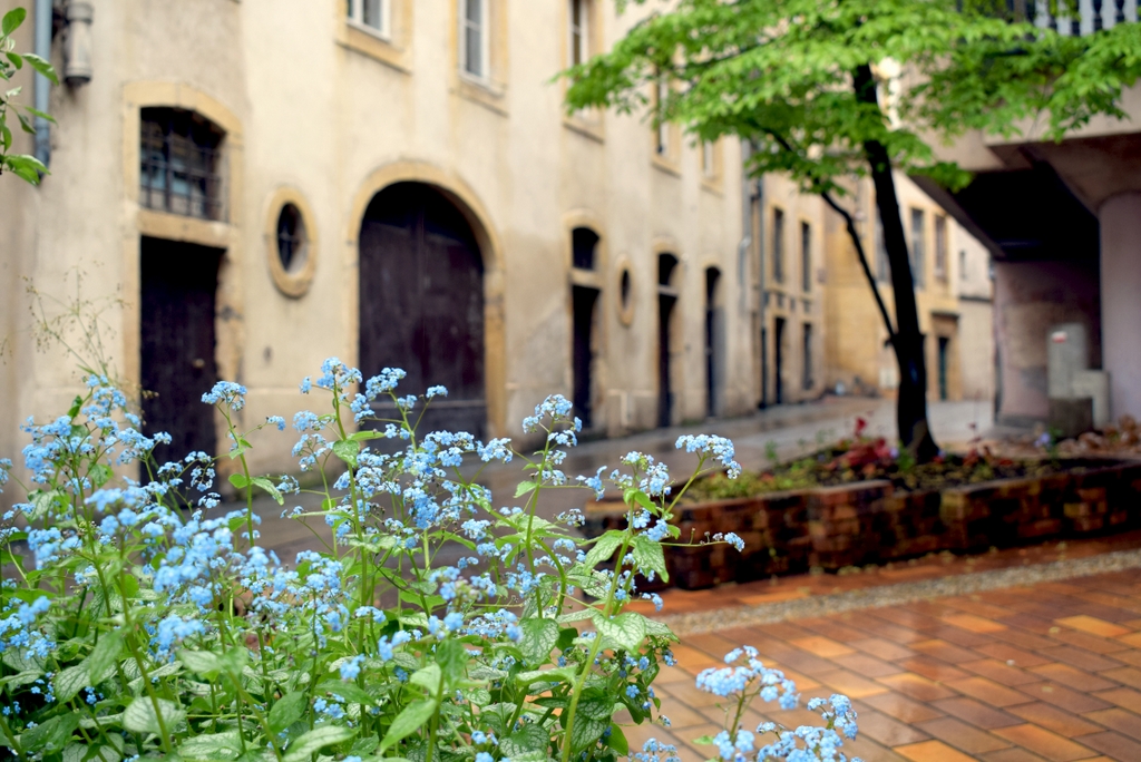 50 Beautiful Photos Of Spring in Lorraine To Cheer You Up! - French Moments