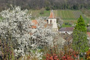 50 Beautiful Photos Of Rural France To Cheer You Up! - French Moments