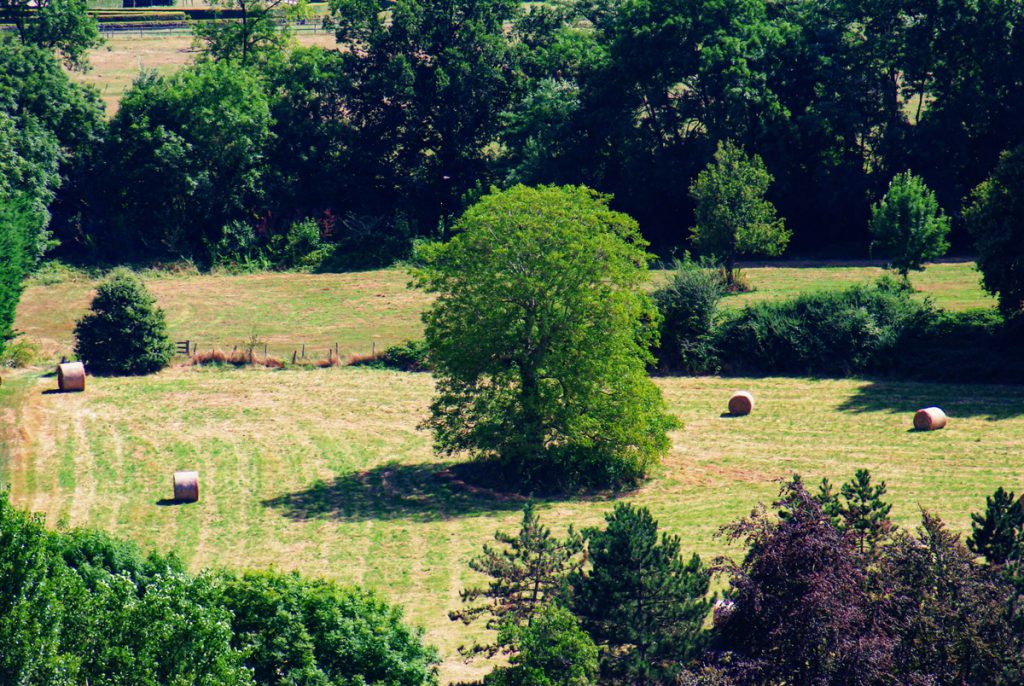 50 Beautiful Photos Of Rural France To Cheer You Up! - French Moments