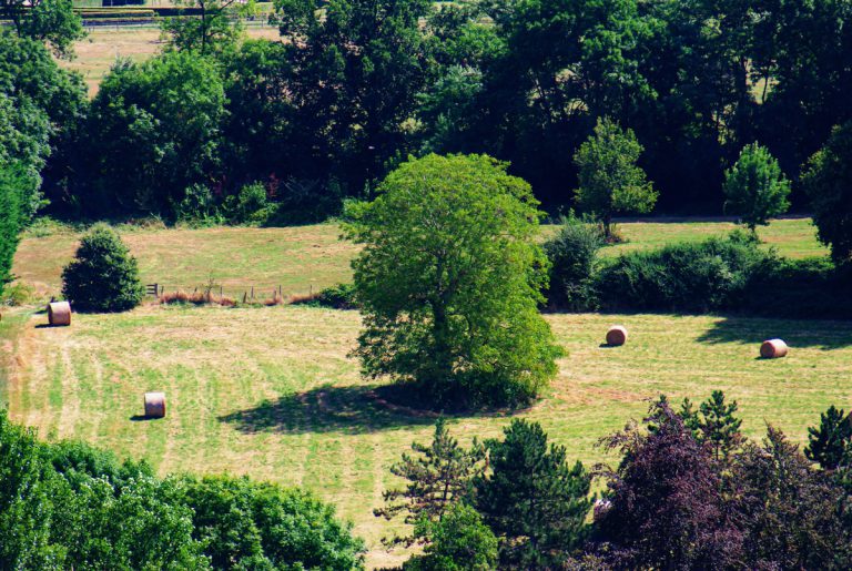 50 Beautiful Photos Of Rural France To Cheer You Up! - French Moments