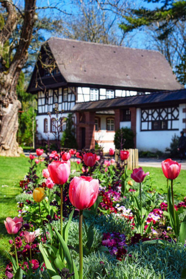 50 Beautiful Photos Of Spring in Lorraine To Cheer You Up! - French Moments