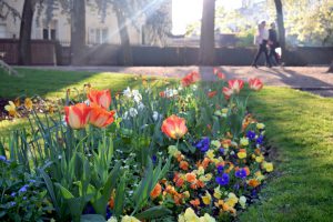 Top 10 things to see in Nancy, Lorraine - French Moments