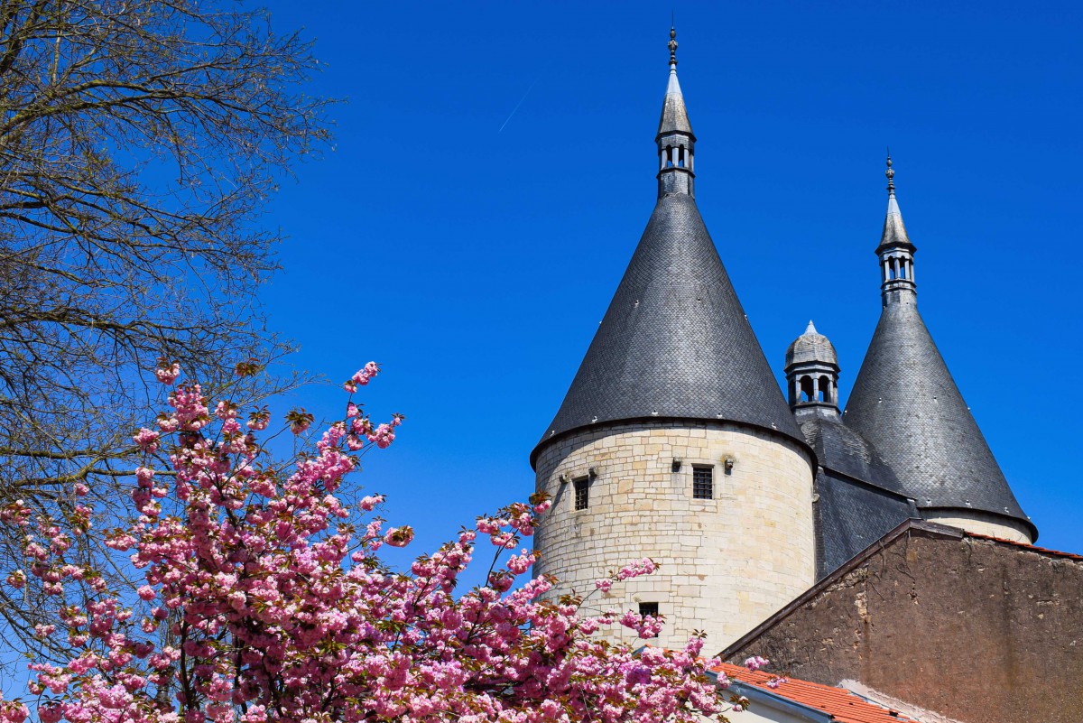 50 Beautiful Photos Of Spring in Lorraine To Cheer You Up! - French Moments