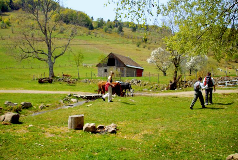 What you need to know about the Lorraine Region - French Moments