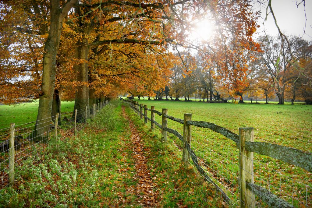 Explore the English village of Burwash, East Sussex - French Moments