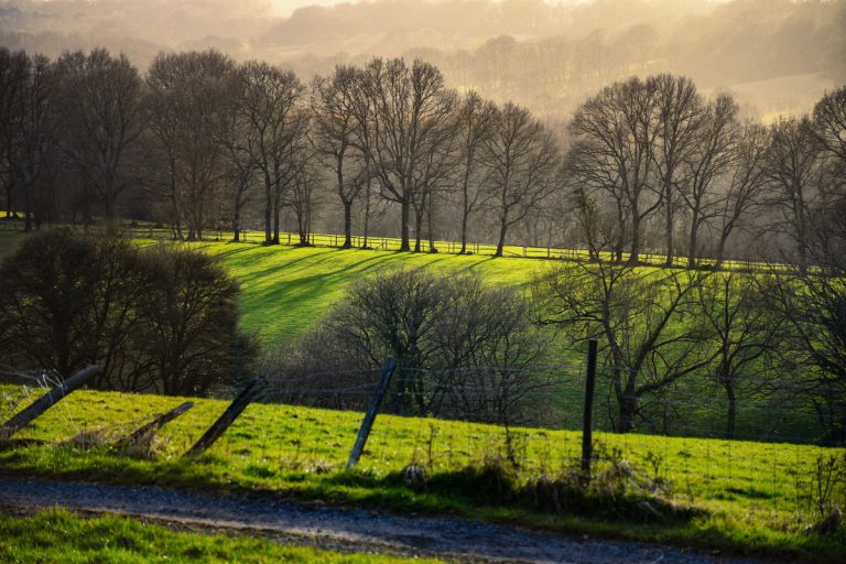 Explore the English village of Burwash, East Sussex - French Moments