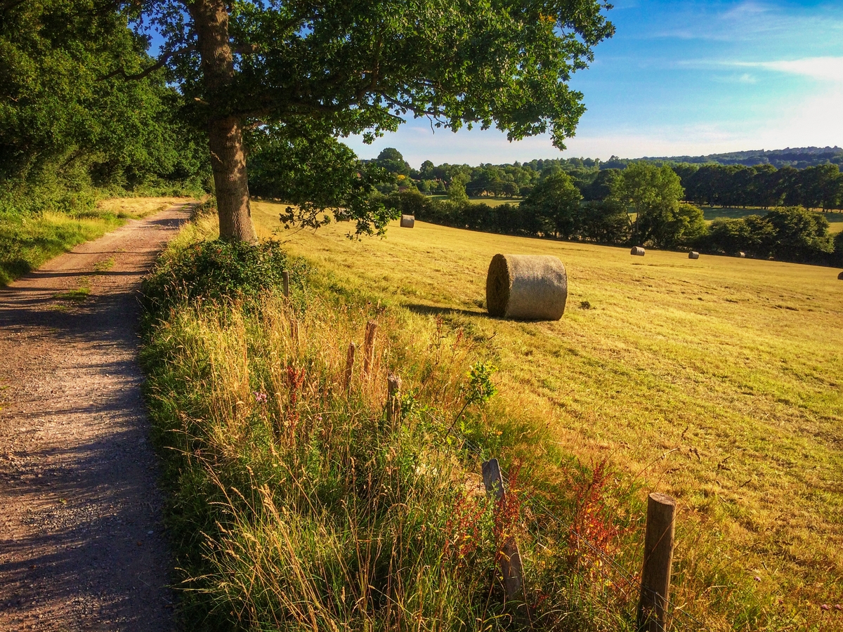 Explore the English village of Burwash, East Sussex - French Moments