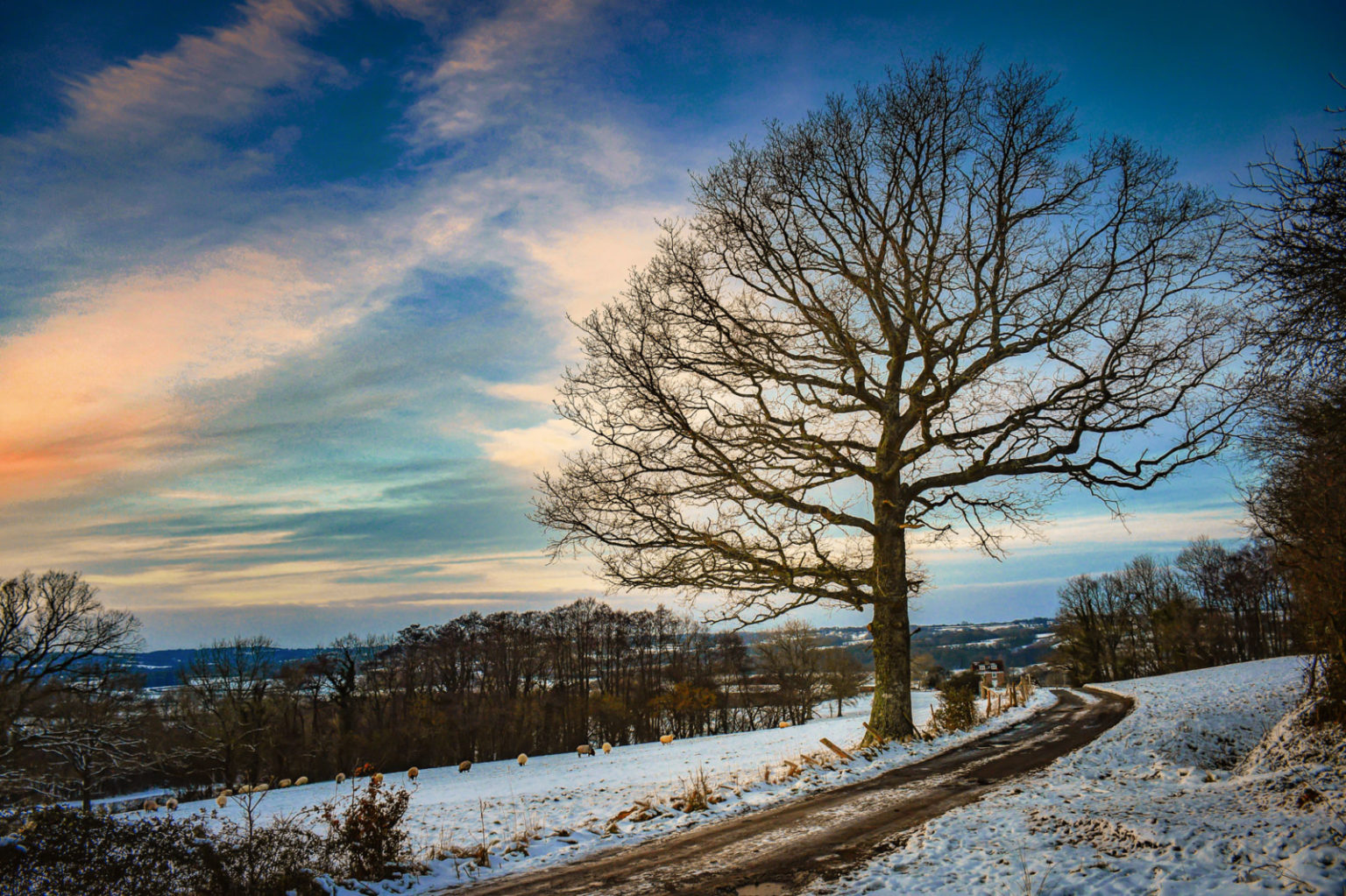 Explore the English village of Burwash, East Sussex - French Moments