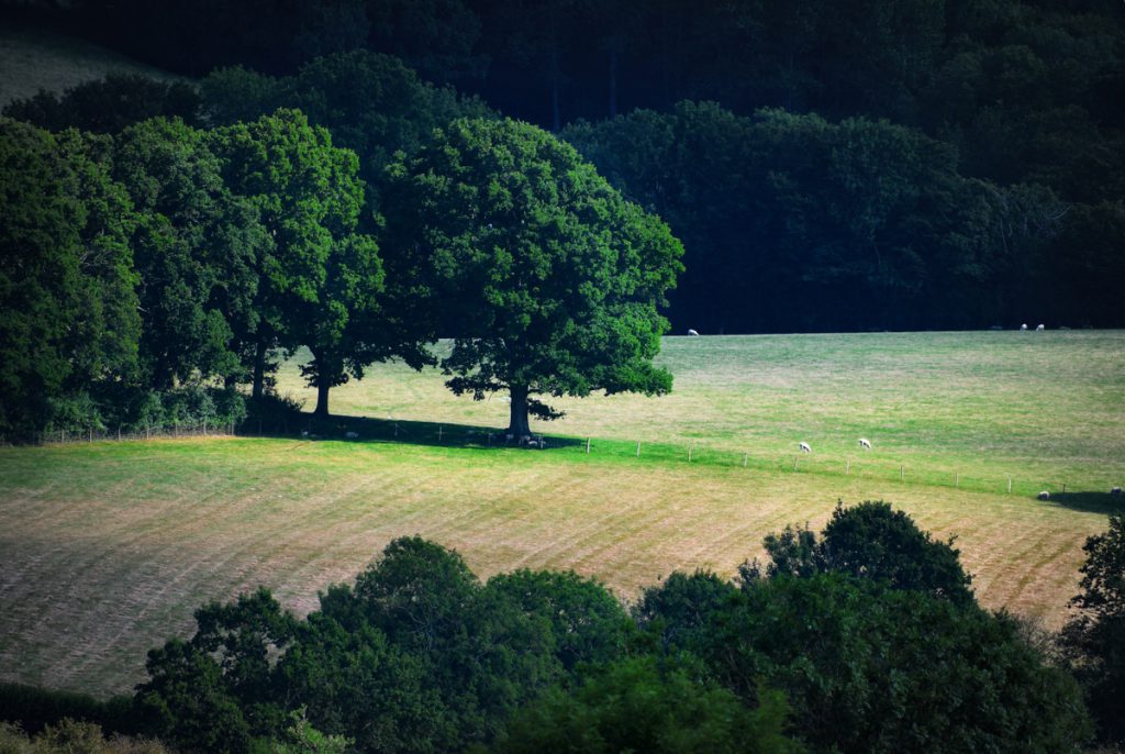 Explore the English village of Burwash, East Sussex - French Moments