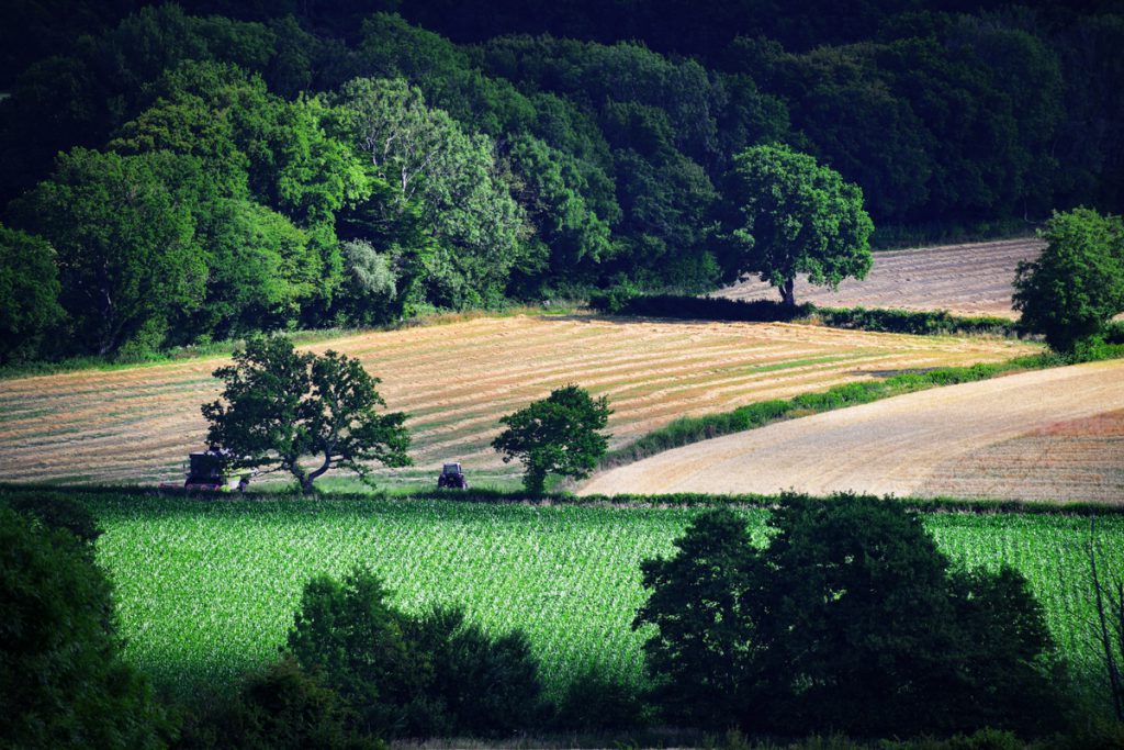 Explore the English village of Burwash, East Sussex - French Moments