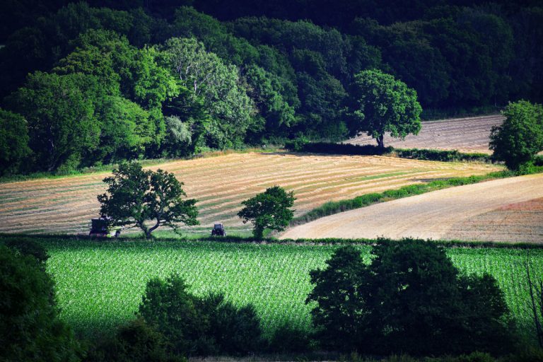 Explore the English village of Burwash, East Sussex - French Moments