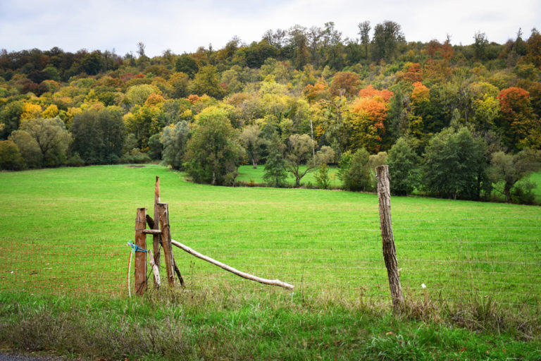 50 Most Beautiful Photos of Autumn in France - French Moments