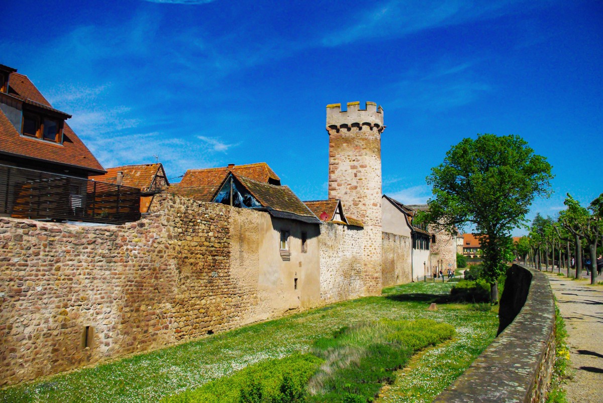 The Grand Tour of Alsace: A 12-Day Itinerary - French Moments