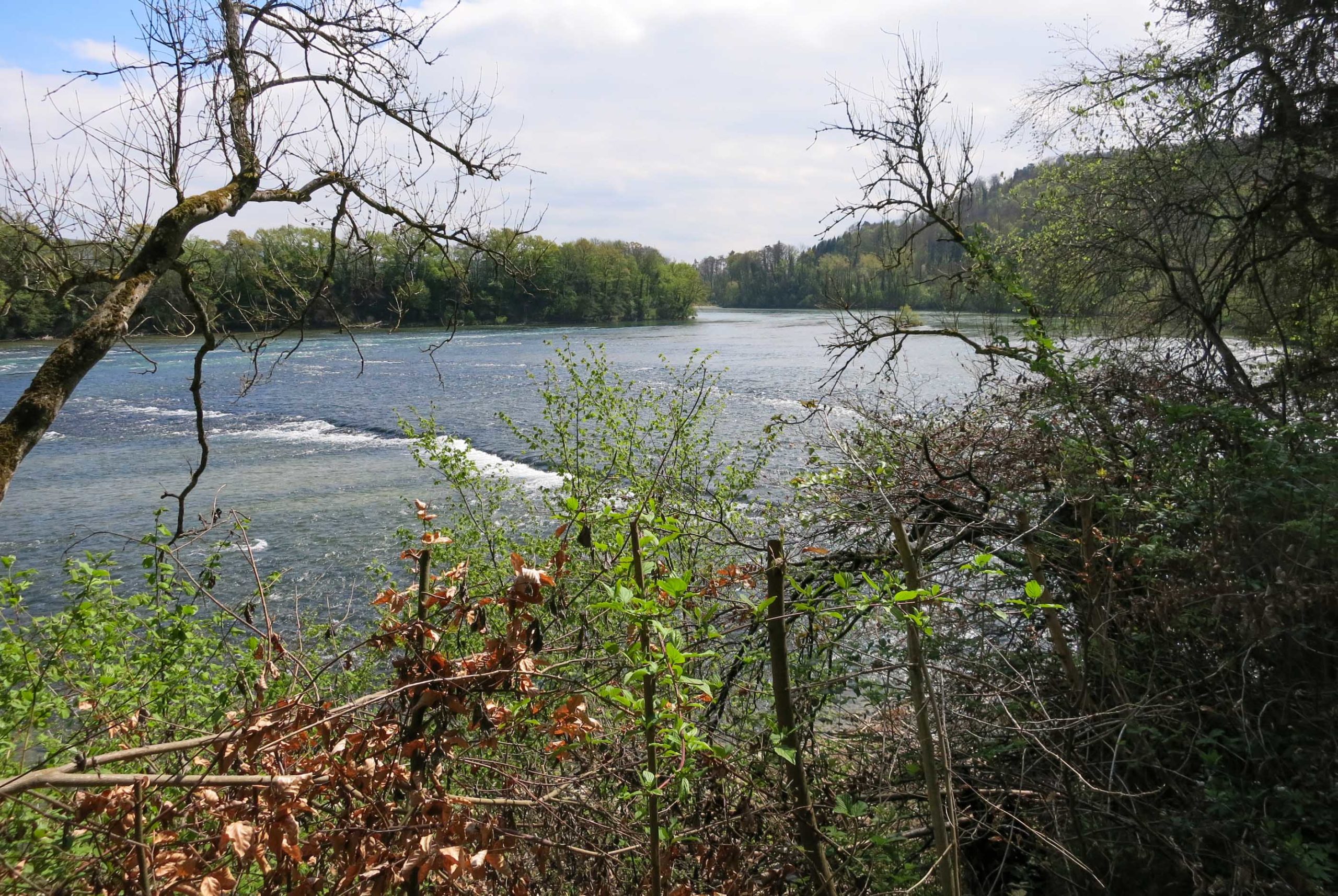 The Rhine Falls: A Breathtaking Natural Site in Europe - French Moments