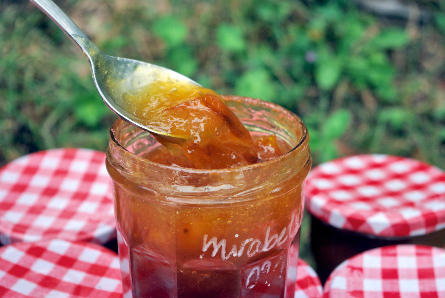 Mirabelle of Lorraine: A Delicious Golden Plum - French Moments
