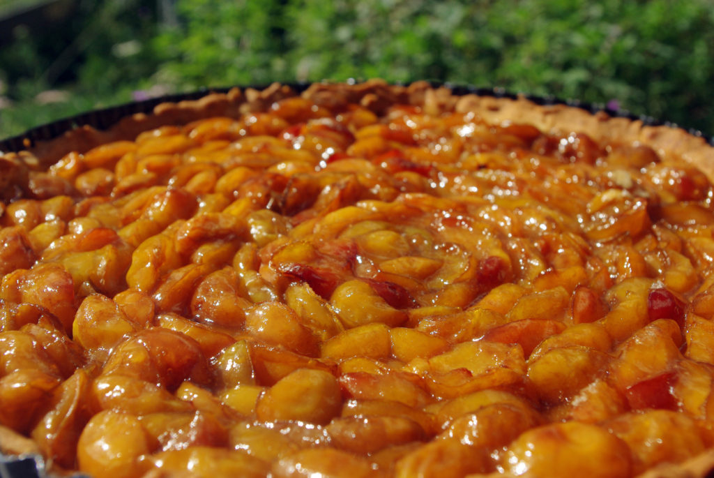 Mirabelle of Lorraine: A Delicious Golden Plum - French Moments