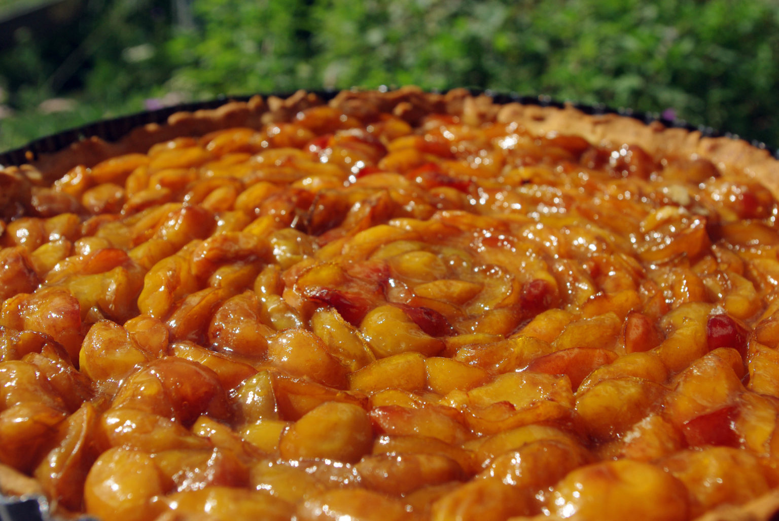 Mirabelle of Lorraine: A Delicious Golden Plum - French Moments