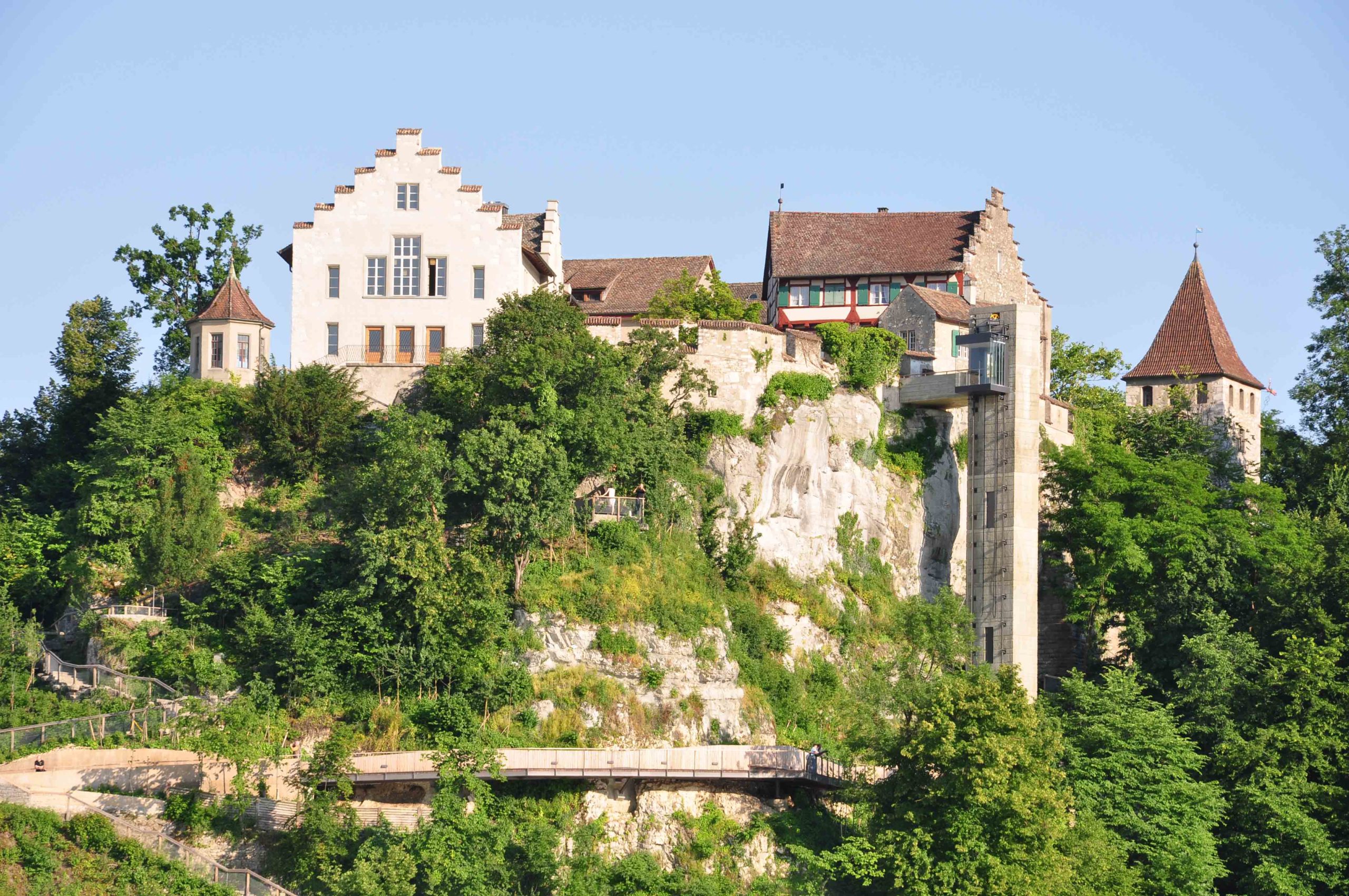 The Rhine Falls: A Breathtaking Natural Site in Europe - French Moments